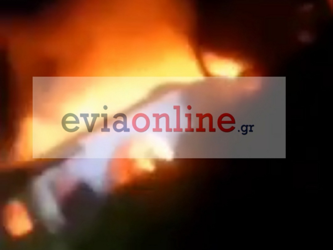 Εύβοια: Στο πλευρό του Δ. Θωμά η Δημοτική Αρχή, μετά την καταστροφική ...