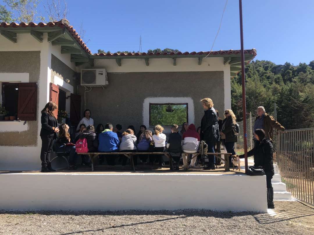 Χαλκίδα: Νέες δομές φιλοξενίας και φροντίδας στο Δημοτικό Καταφύγιο ...