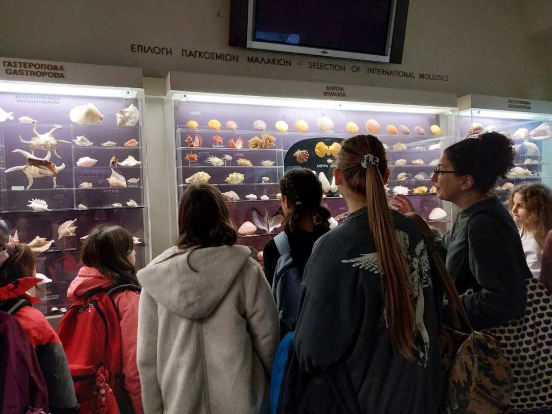 Χαλκίδα: Το Εργαστήρι Τέχνης επισκέφθηκε το Μουσείο Γουλανδρή Φυσικής ...