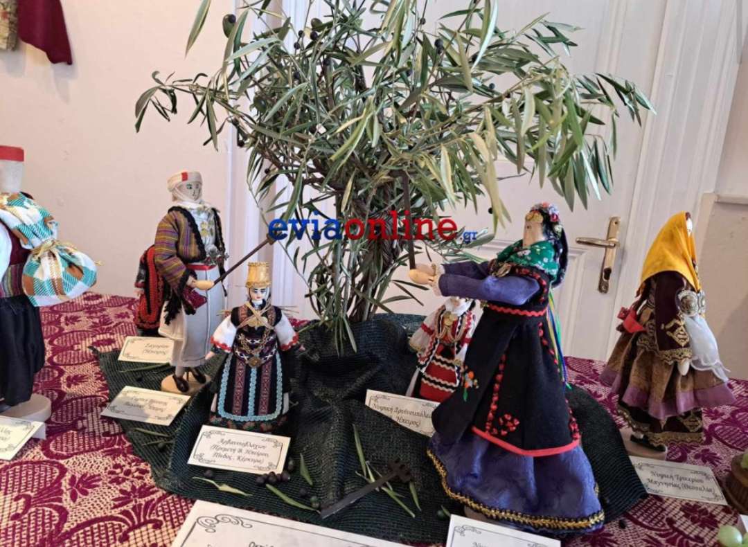 Χαλκίδα-Προσοχή: Η υπέροχη έκθεση του Νέστορος Βαρυτιμίδη, με τις ...