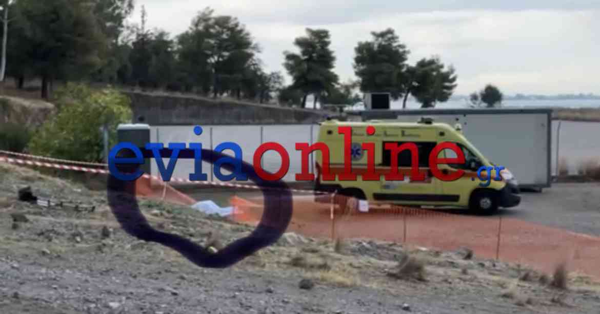 Χαλκίδα-Τραγωδία: Ο λόγος που ο 44χρονος έπεσε από την Υψηλή Γέφυρα ...