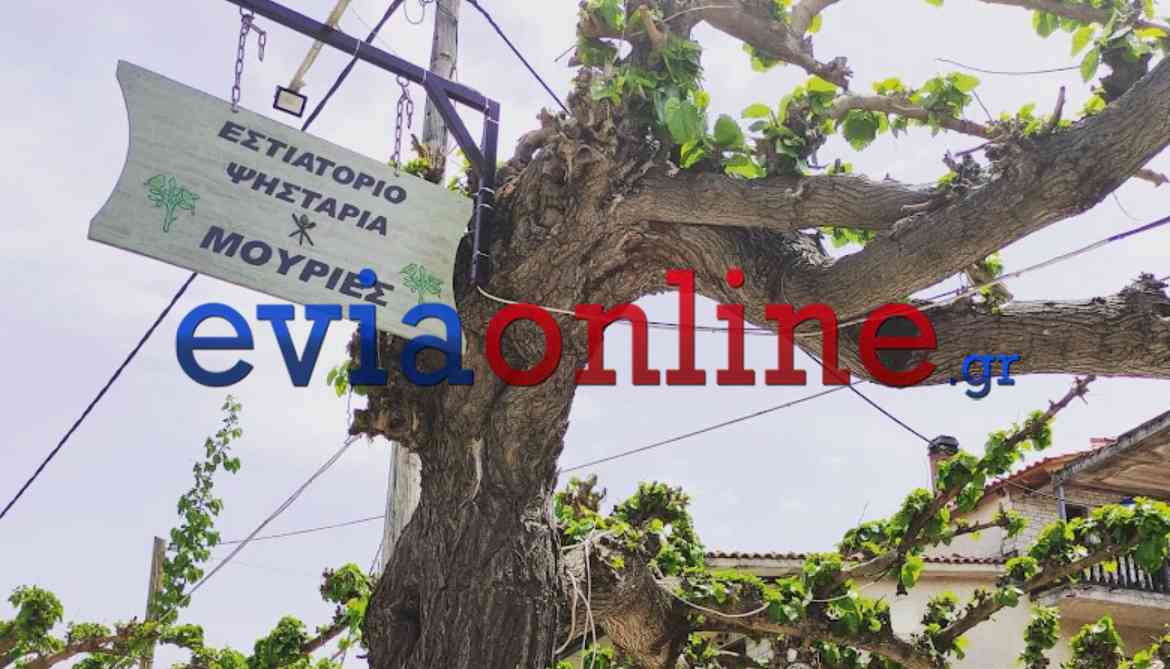 Εύβοια: Νέες πληροφορίες για την τραγωδία στο Προκόπι που έχασε την ζωή ...