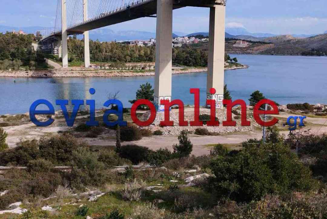 Χαλκίδα-Τραγωδία: Μαθητής Γυμνασίου ο νεαρός που έπεσε από την Υψηλή ...